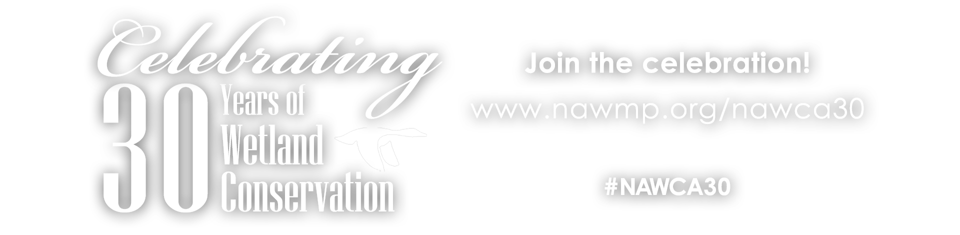 | NawmpRevision.org